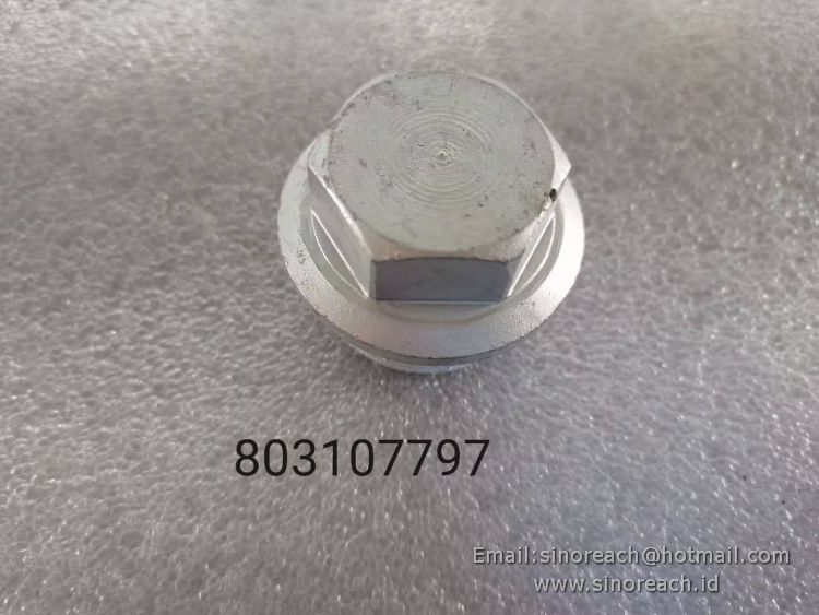 803107797 JB/T1000-1977 Plug M42×2 for XCMG SPARE PARTS – Sinoreach